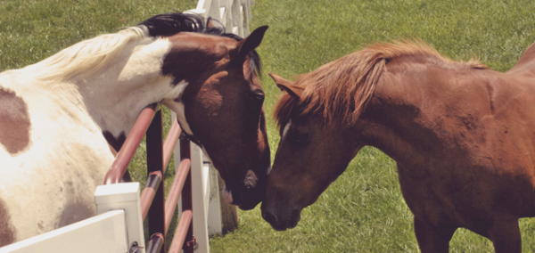 Eating Disorder Treatment Programs | Anderson, Indiana | Selah House